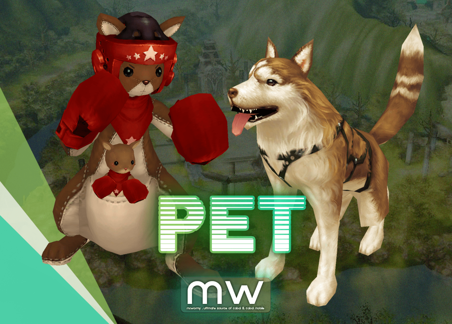 Pet – Mr. Wormy